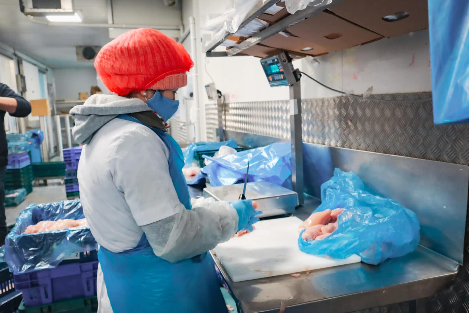 YCC Poultry - 120 Years of Combined Experience in the Meat & Poultry Industry - Order Online ...